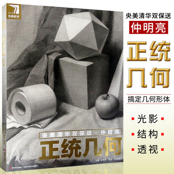 正版正统几何 仲明亮教学 央美清华结构素描光影零基础从入门到精通石膏几何形体静物组合临摹范本