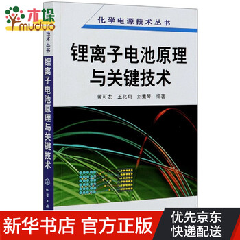锂离子电池原理与关键技术/化学电源技术丛书