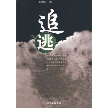 追逃 石钟山 人民文学出版社