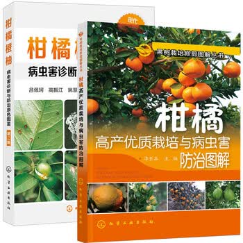 柑橘橙柚病虫害诊断与防治原色图鉴+高产优质栽培与病虫害防治图解 2册 柑橘种植技术书 柑橘整形修剪桔
