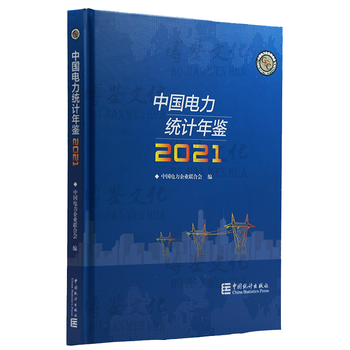 2021国家统计 2021中国电力统计年鉴