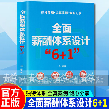 正版 全面薪酬体系设计“6+1”  冯涛 找到适合你公司的薪酬方式 薪资制度制定 公司企业薪资设