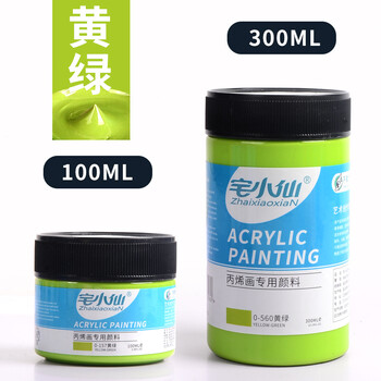 丙烯颜料防水手绘画材料diy墙绘彩绘工具24色画鞋子12色300ml白色炳稀染料不掉色儿童涂鸦丙 黄绿 100ml