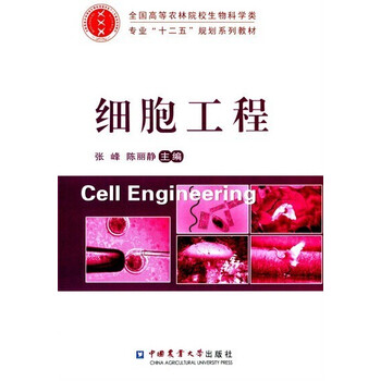 细胞工程【正版图书】