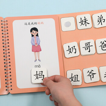 幼儿识字卡片魔法汉认字神器宝宝安静书幼儿园早教启蒙闪卡魔术贴 我的家人