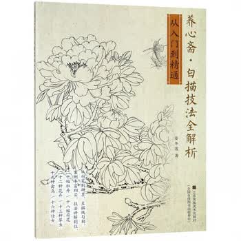 养心斋白描技法全解析(从入门到精通)