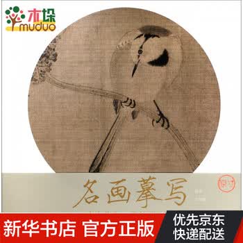 宋人花鸟(鹡鸰荷叶图)/名画摹写