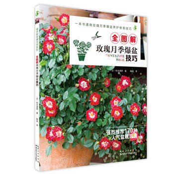 全图解玫瑰月季爆盆技巧 铃木满男
