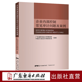 企业内部控制常见审计问题及案例