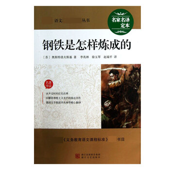 钢铁是怎样炼成的/*新语文 丛书