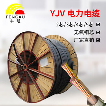 【YJV 2*2.5 1米】丰旭 YJV电缆 YJV-0.6/1KV-2*2.5平方2芯国标电力电缆 YJV2*2.5 1米（50米起售） 【行情 报价 价格 评测】-京东
