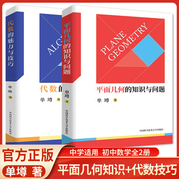 2022初中数学代数的魅力与技巧+平面几何的知识与问题 初一二三初中数学解题规律方法与技巧789年级 2本套装 初中通用