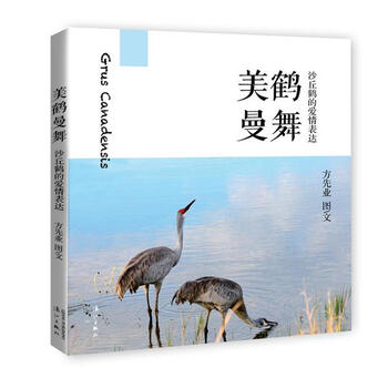 美鹤曼舞 方先业 漓江出版社