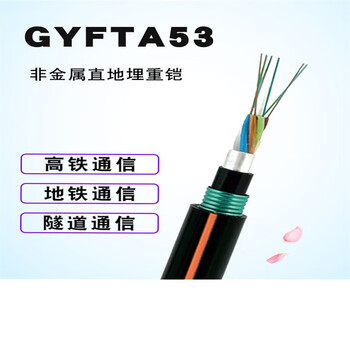 GYFTA53-12B1单模防鼠光纤4/8/24/48/96芯非金属重铠装直地埋光缆 GYFTA53-24芯【图片 价格 品牌 报价】-京东