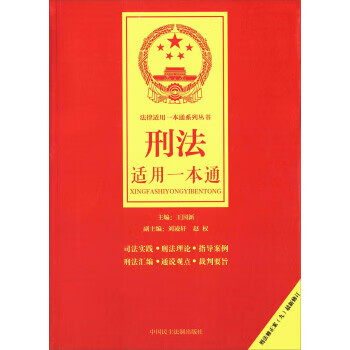 刑法适用一本通 王国新,刘凌轩,赵权