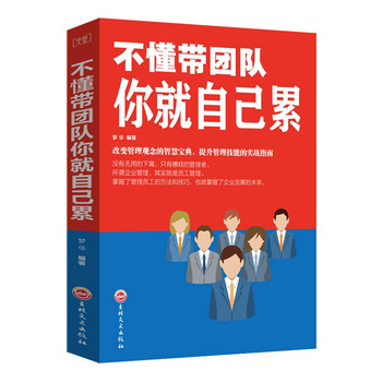 【特价专区】不懂带团队你就自己累 企业管理书籍中层管理技巧方法怎么带领团队管理员工队伍的图书