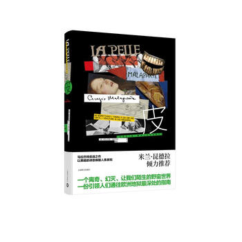 皮【正版图书】