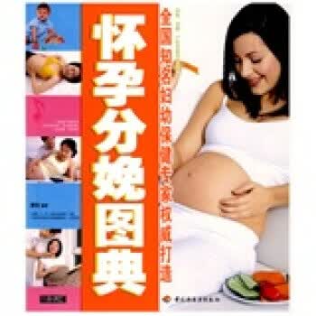 怀孕分娩图典 康佳 著
