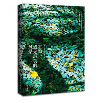 在路上遇见最美的风景(旅行摄影实战密码书)
