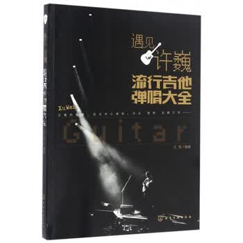 遇见许巍(流行吉他弹唱大全)