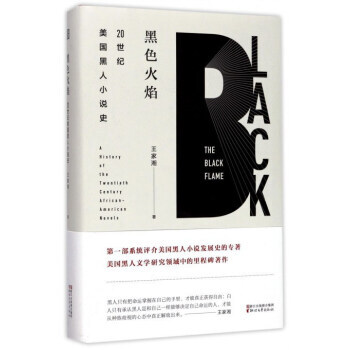 黑色火焰 20世纪美国黑人小说史 王家湘