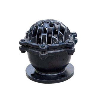 0单向阀止回阀/铸铁水泵底阀H42X-6法兰底阀 8寸 DN200 加厚【图片 价格 品牌 报价】-京东