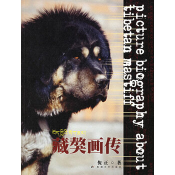 藏獒画传
