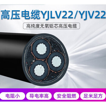 国标铝芯YJLV22/YJV22高压电缆铠装35 50 70 95 120平方10KV 35KV 铝芯35KV3*185平方(1米)【图片 价格 品牌 报价】-京东