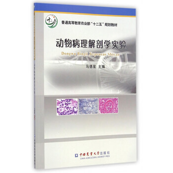 动物病理解剖学实验(普通高等教育农业部十二五规划教材)