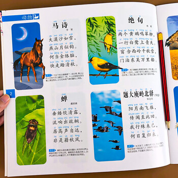 唐诗幼儿园中班大班幼儿早读古诗词彩绘注音版3-6岁儿童古诗国学启蒙绘本学前宝宝全唐诗鉴赏小学一二年级