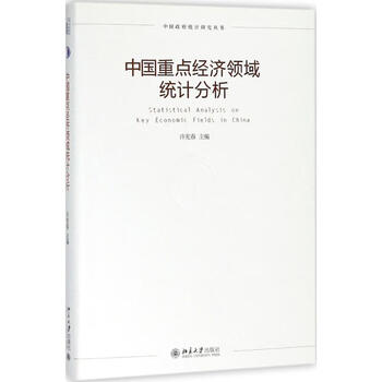 中国重点经济领域统计分析许宪春 主编 