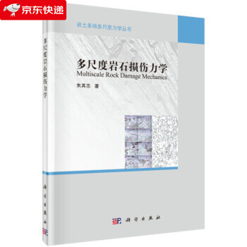 多尺度岩石损伤力学 朱其志 著 9787030606891