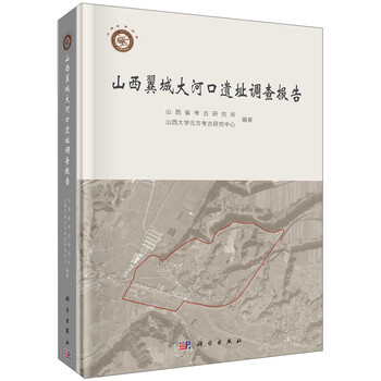 山西翼城大河口遗址调查报告