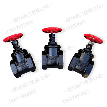 丝扣闸阀Z15T-10/16铸铁丝口闸阀闸板阀DN152025324050 DN15 4分/国标铜芯【图片 价格 品牌 报价】-京东