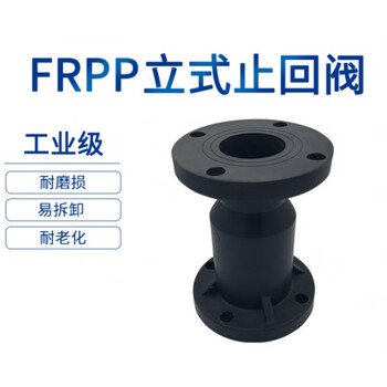 FRPP法兰止回阀 FRPP球芯式止回阀 RPP塑料立式阀门 DN50【图片 价格 品牌 报价】-京东