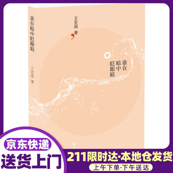 谁在暗中眨眼睛 王定国 著 译林出版社