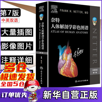 新版奈特人体解剖学彩色图谱第7版 翻译版双语全彩图 人民卫生出版社