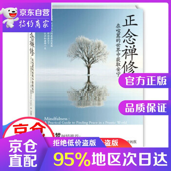 正念禅修 马克·威廉姆斯，丹尼·彭曼 著；刘海清 译 九州出版社