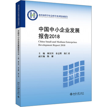 中国中小企业发展报告