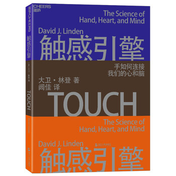 触感引擎：手如何连接我们的心和脑