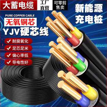 国标ZRC-YJV电缆线1.5平方3/4/5芯新能源电车充电桩6三相四相工程电线2*16户外铜芯10 3芯25平方（1米）【图片 价格 品牌 报价】-京东