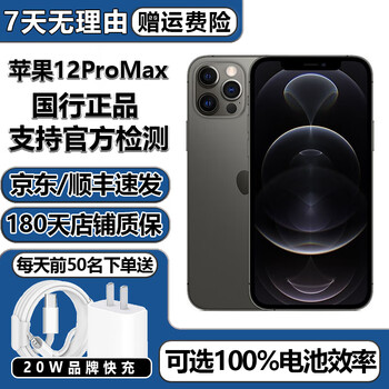 Apple iPhone 12 Pro Max 苹果12pro苹果12promax国行5G全面屏手机 【12ProMax】石墨色 95新 ...