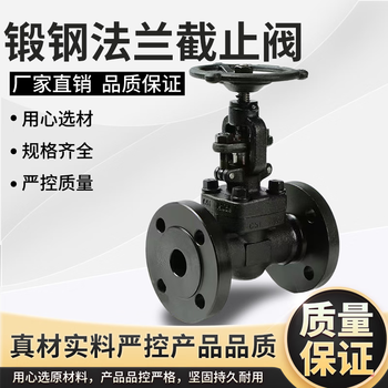 法兰截止阀J41H25C 40C 64C 100C锻钢A105N材质耐高温高压阀国标 PN160C请联系客服【图片 价格 品牌 报价】-京东