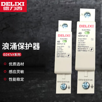 【德力西电气DZ47sY-I+II】德力西电气 浪涌保护器 防雷漏电保护器 DZ47sY-II 20kA 440V 1P 【行情 报价 价格 评测】-京东