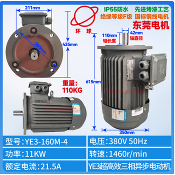 东莞电机YE3系列4极高效率三相异步电动机电动马达电机东莞环球 立式YE3-160M-4 11KW 380V【图片 价格 品牌 报价】-京东