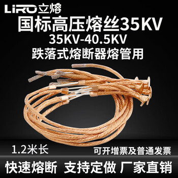 带扣国标高压熔丝35KV/3A-200A100A40A150A跌落式令克开关保险丝 国标35KV/10A标准920mm长【图片 价格 品牌 报价】-京东
