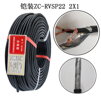 渤通缆ASTP铜网屏蔽线带锡箔钢皮rvvsp22 2芯1 1.5 2.5双绞线RS485 铜网带铠RS485 2芯2.5一米【图片 价格 品牌 报价】-京东