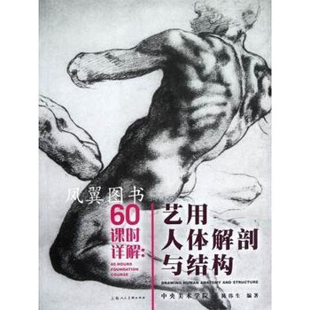 60课时详解  艺用人体解剖与结构 陈伟生编著 上海人民美术出版社