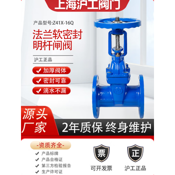 上海沪工阀门软密封法兰明杆闸阀Z41X-16Q暗杆自来水消防排污铜芯 DN500(上海沪工)【图片 价格 品牌 报价】-京东