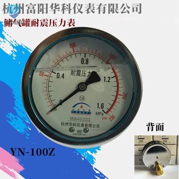 杭州华科YN100Z轴向耐震压力表 Y100Z储气罐抗震油压表0-1.6MPA 1MPA【图片 价格 品牌 报价】-京东